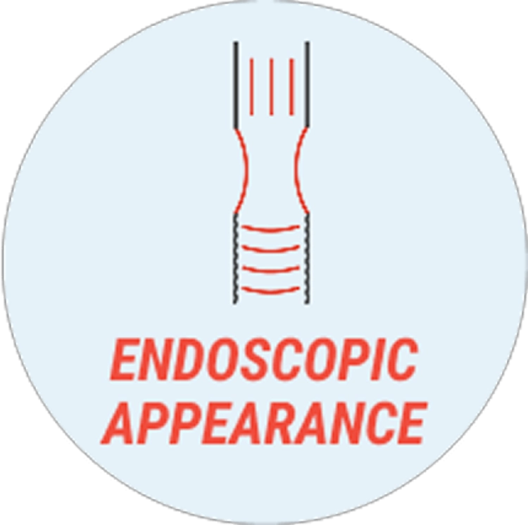 Long-Term Symptoms Management | Understand EoE